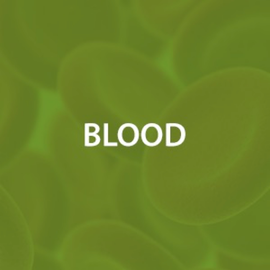 Blood Health* – NaturaNectar