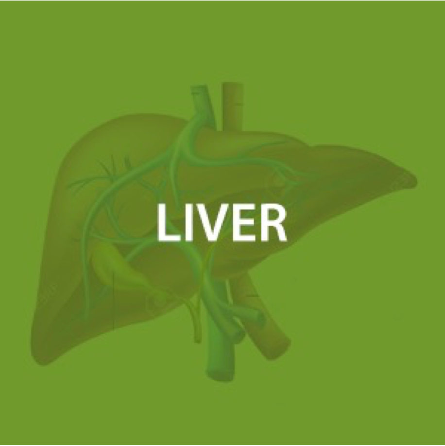 Liver Health* – NaturaNectar