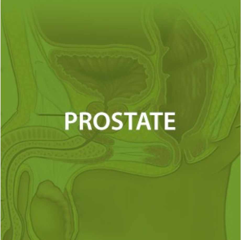 Prostate Health* – NaturaNectar